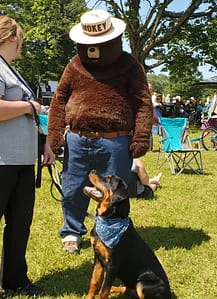 McWreath Dog Training › Transform Your Dog’s Behavior