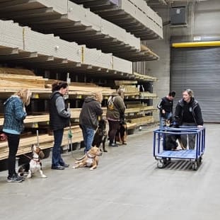 Group Classes › McWreath Dog Training