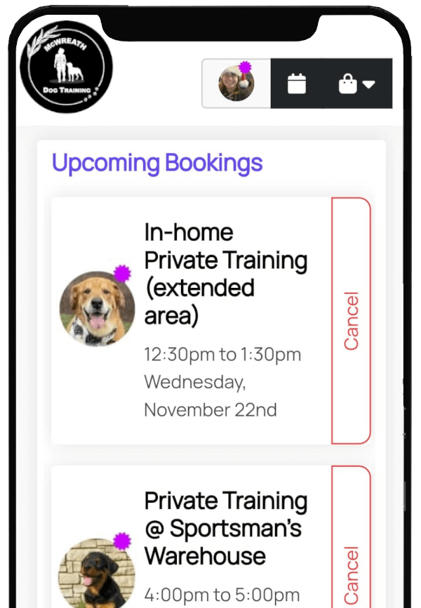 McWreath Dog Training › Transform Your Dog’s Behavior